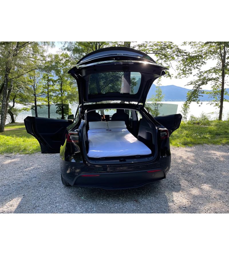 Dreamcase model y store